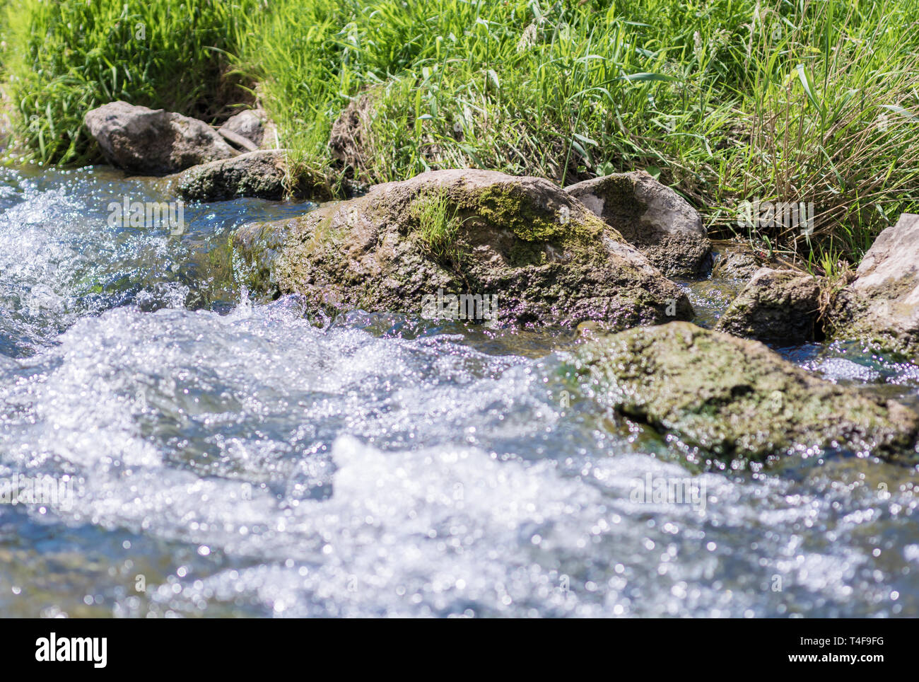 Fresh mountain stream flows down the mountain Stock Photo - Alamy