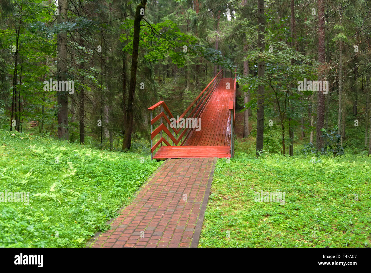 Wooden bridge over a ravine in a forest on a rainy summer day Stock ...