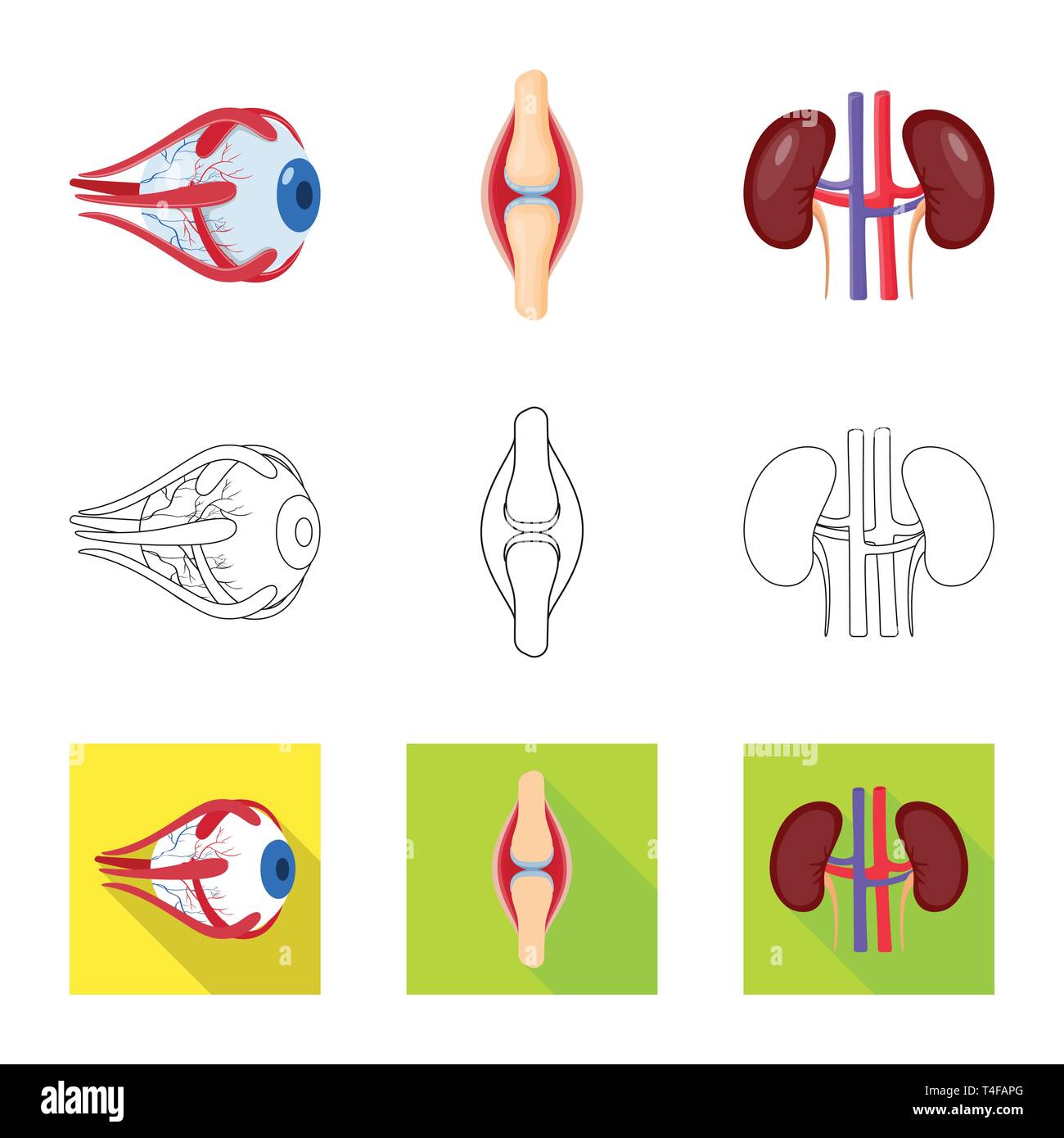 Isolated object of biology and scientific logo. Set of biology and ...