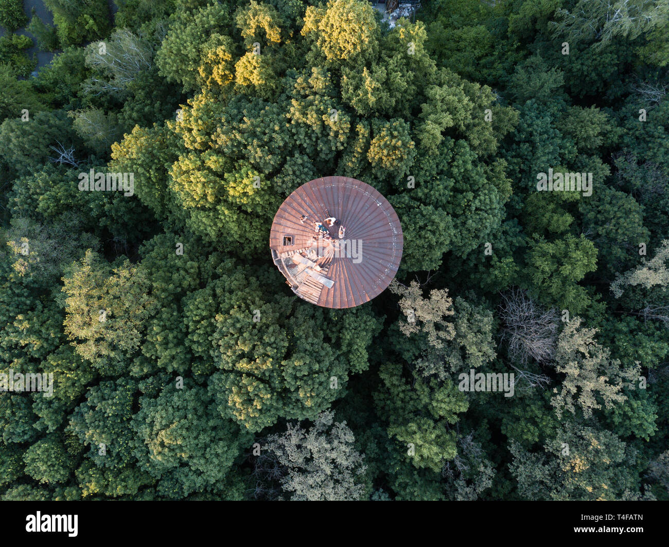 Top view of a round old roof with people around green trees. Aerial ...