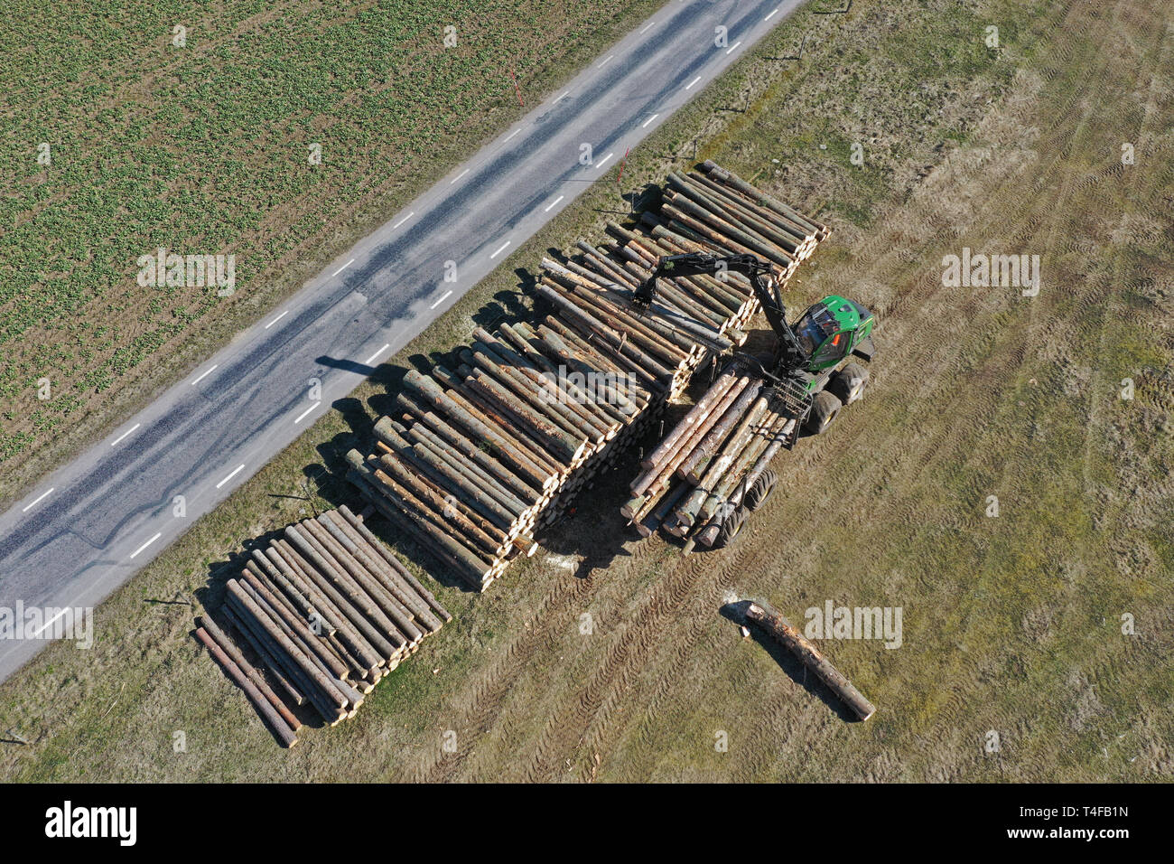 Aerial view of a forest and logging Stock Photo - Alamy
