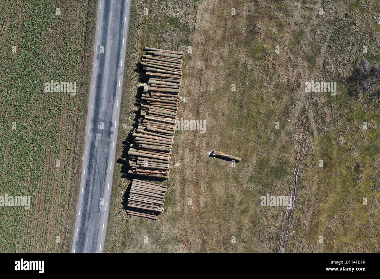 Aerial view of a forest and logging Stock Photo - Alamy