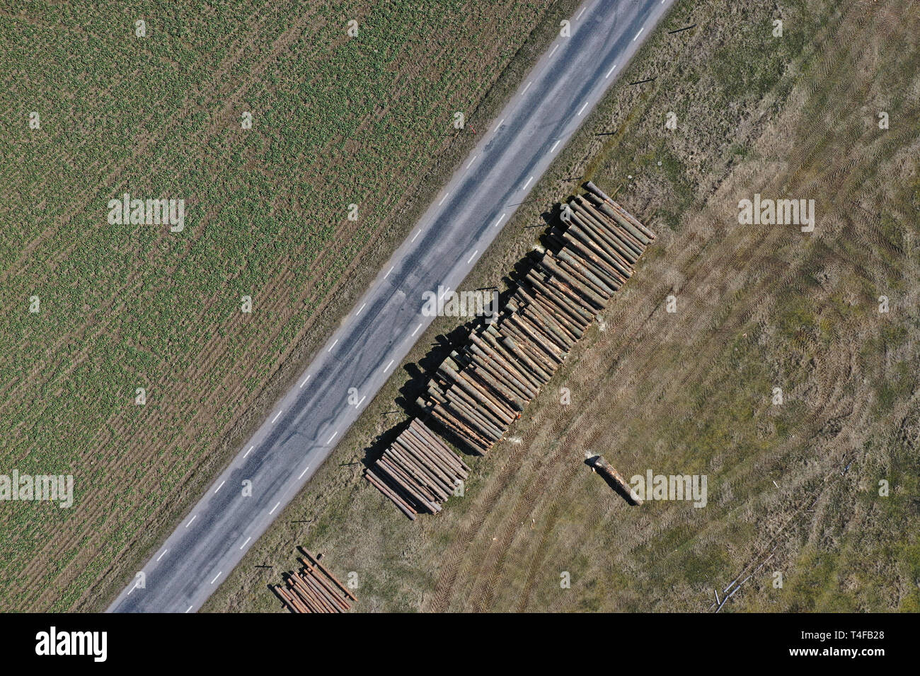 Aerial view of a forest and logging Stock Photo - Alamy