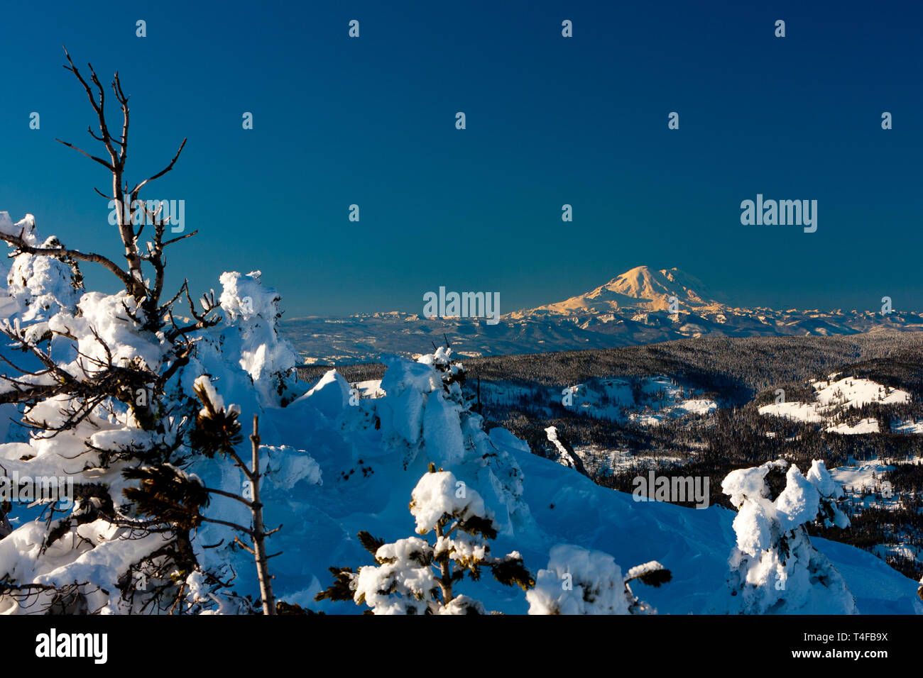 Mt Rainier seen from Mission ridge about 69 miles northeast during ...