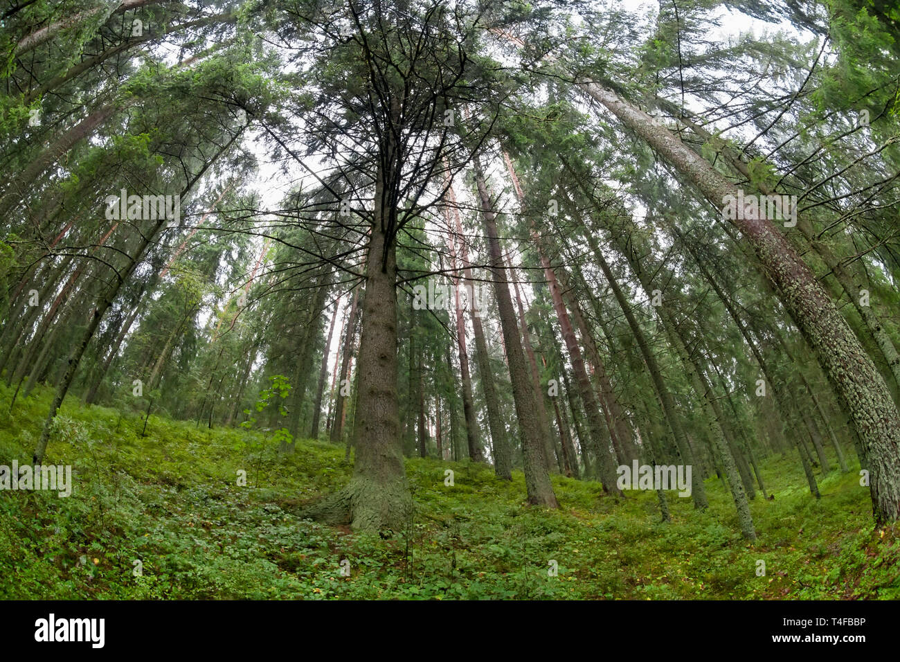 Bottom of a hill hi-res stock photography and images - Alamy