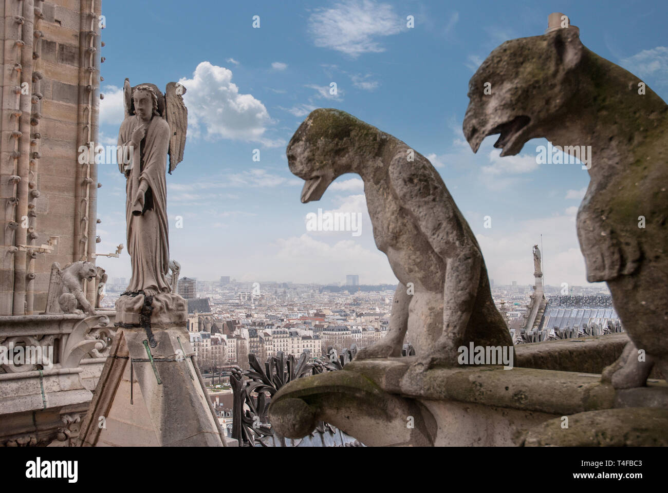 Angel is playing an horn and gargoyles Stock Photo - Alamy