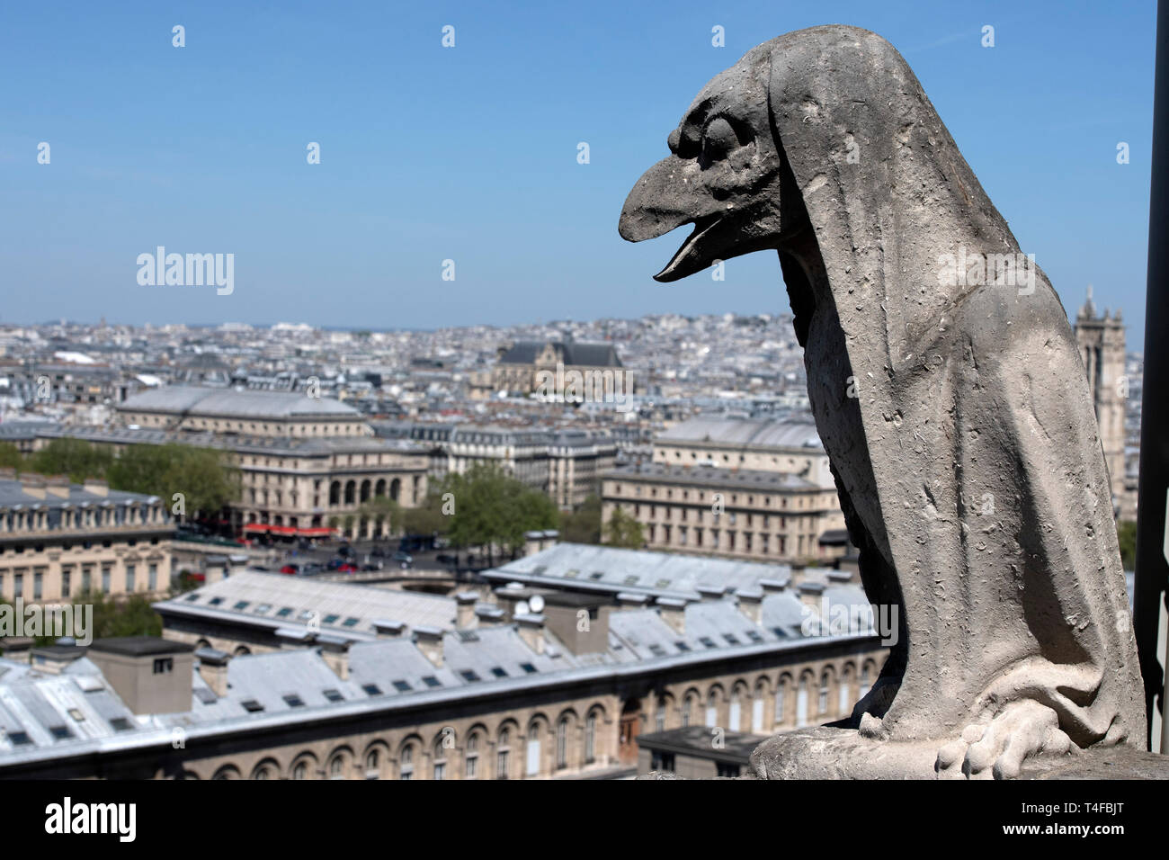 Notre dame paris cathedral statue sculpture and roof detail Stock Photo ...
