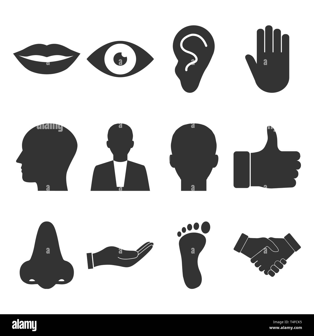 Vector illustration, flat design. Body parts icon Stock Vector Image ...