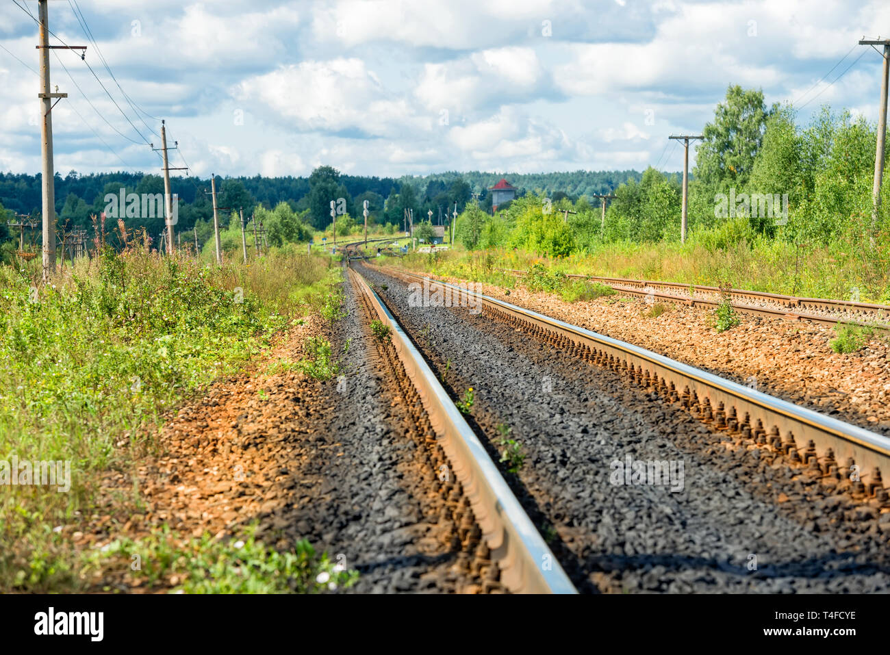 Tree line track through the woods hi-res stock photography and images ...