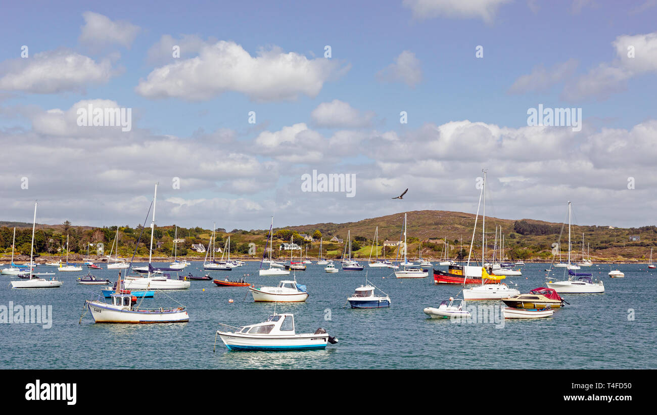 Schull cork hi-res stock photography and images - Alamy