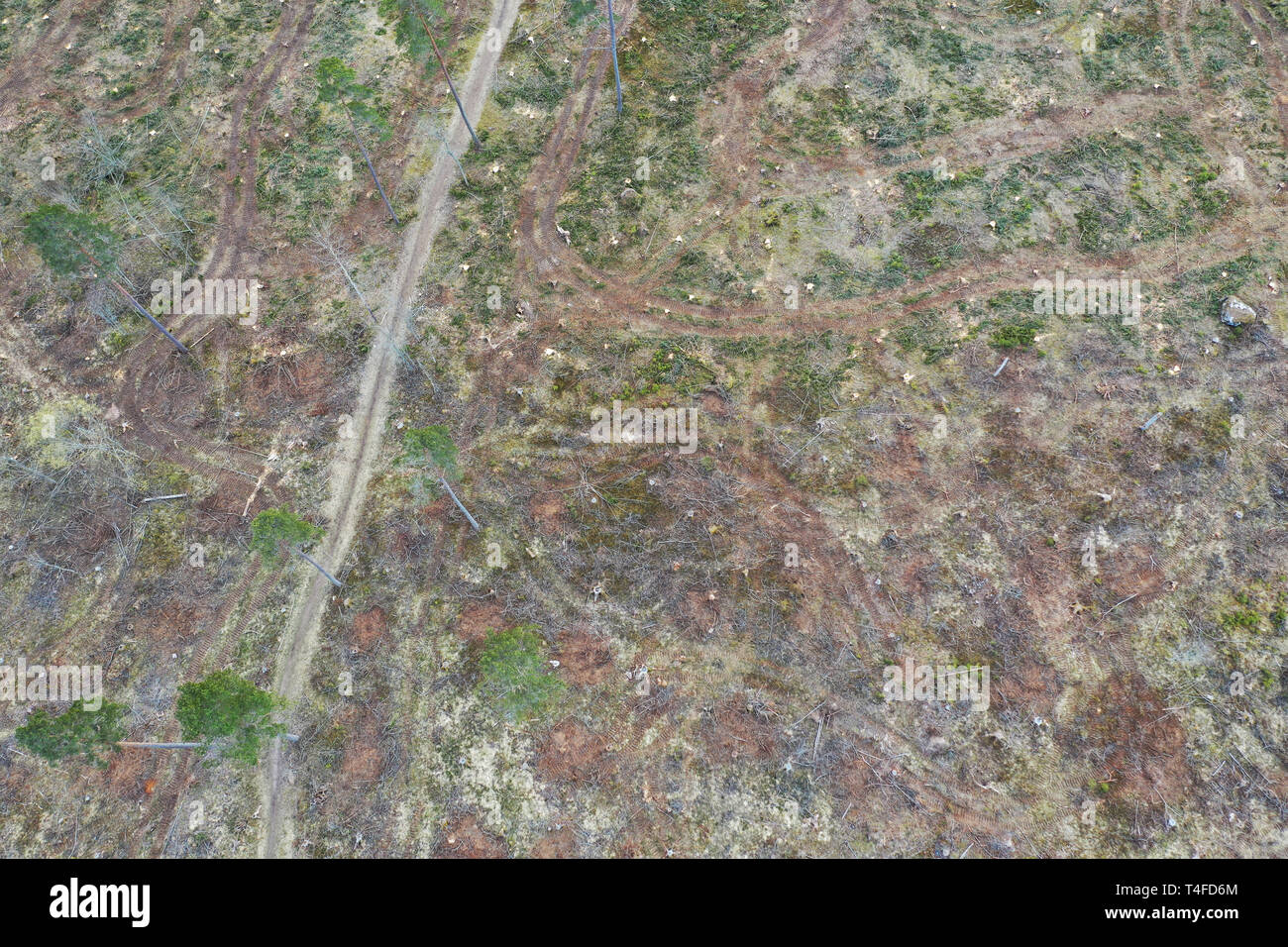 Aerial view over a clearcut.Flygbild över ett kalhygge Stock Photo - Alamy