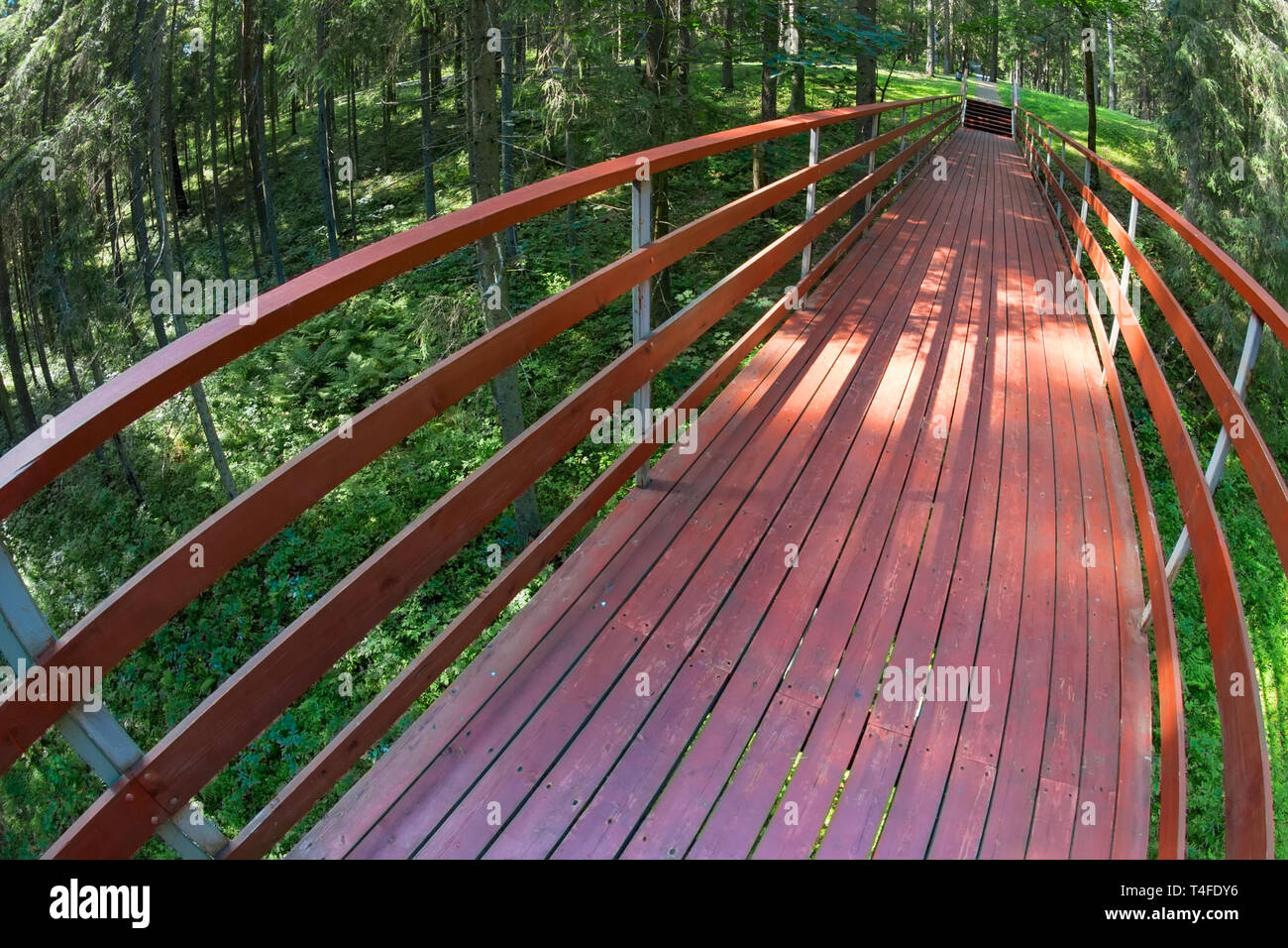 Wooden bridge over a ravine in a forest on a summer day Stock Photo - Alamy
