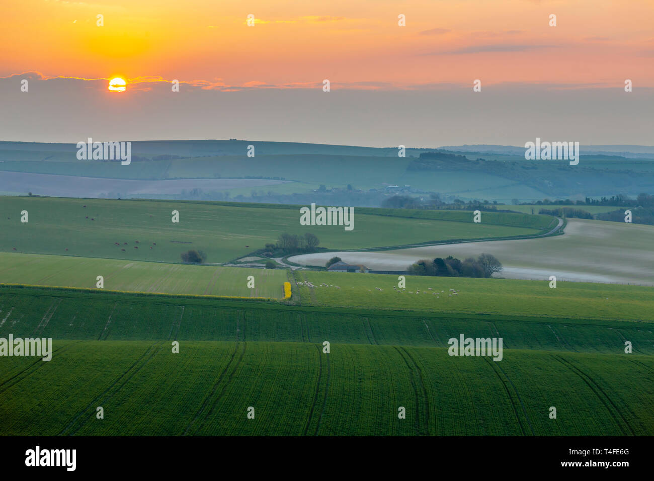 Spring sunrise in South Downs National Park, West Sussex, England Stock ...