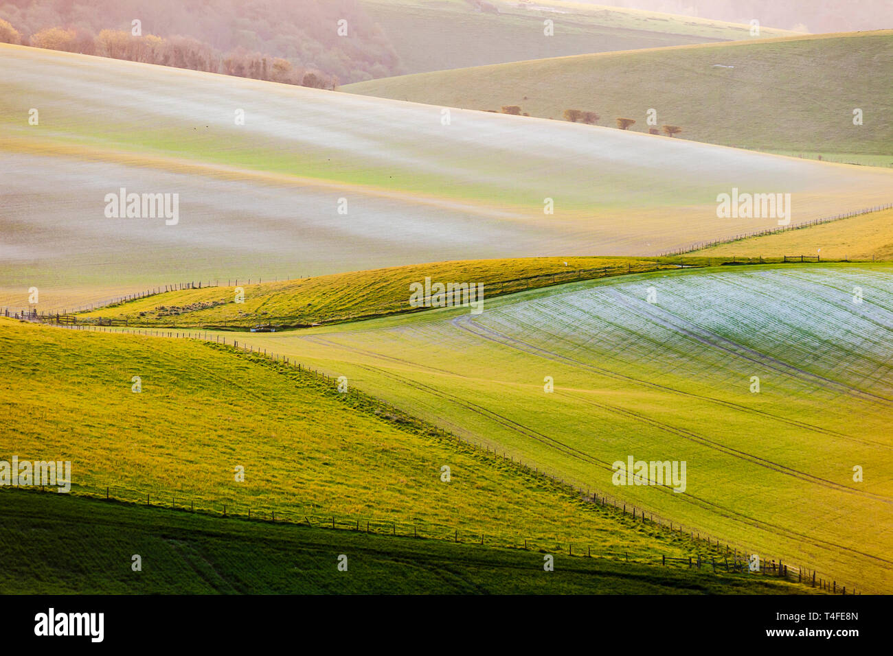 Spring sunrise in South Downs National Park, West Sussex, England Stock ...