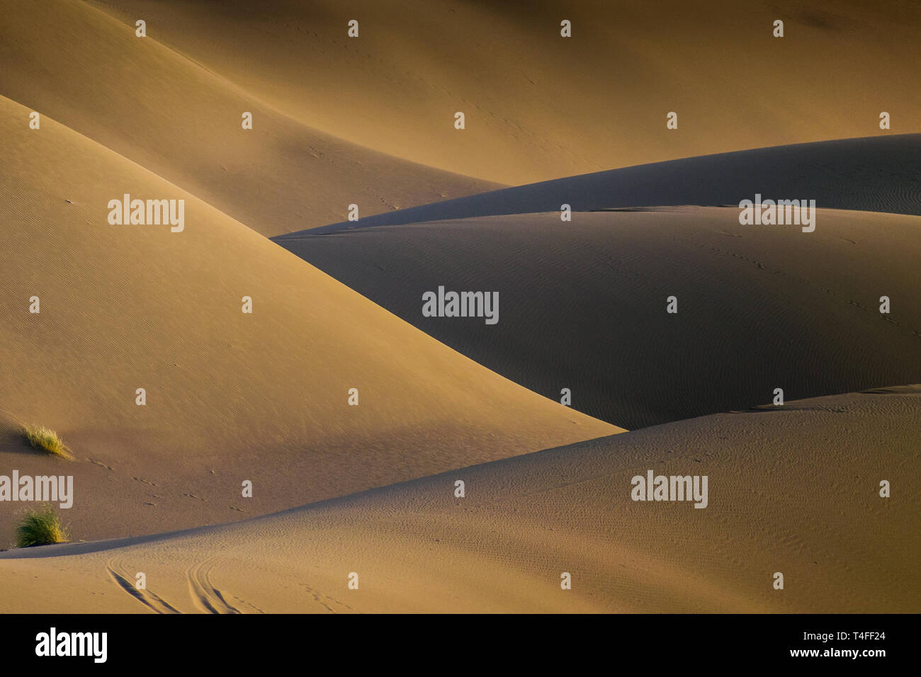 Sandy dance hi-res stock photography and images - Alamy