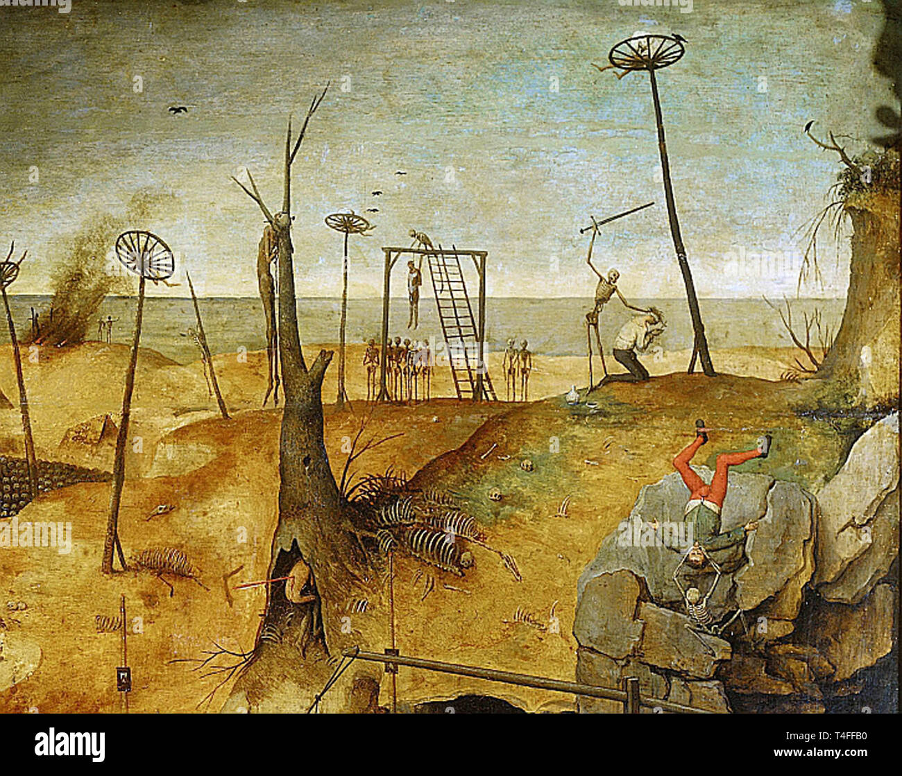 Scary fleas hi-res stock photography and images - Alamy