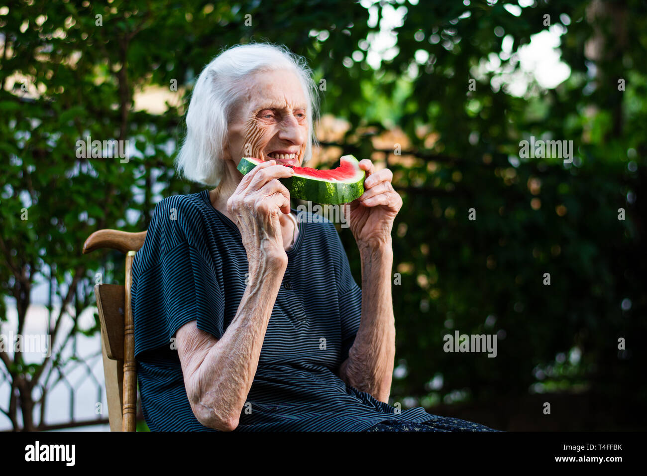 Grandma tree hi-res stock photography and images - Alamy