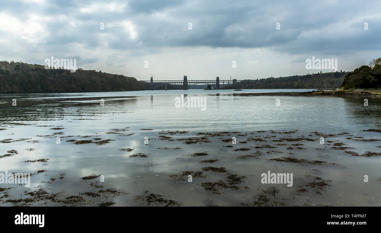 Britannia bridge anglesey spring hi-res stock photography and images ...