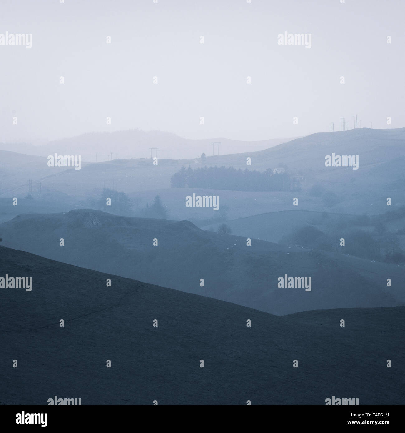 Cyanotype sun hi-res stock photography and images - Alamy