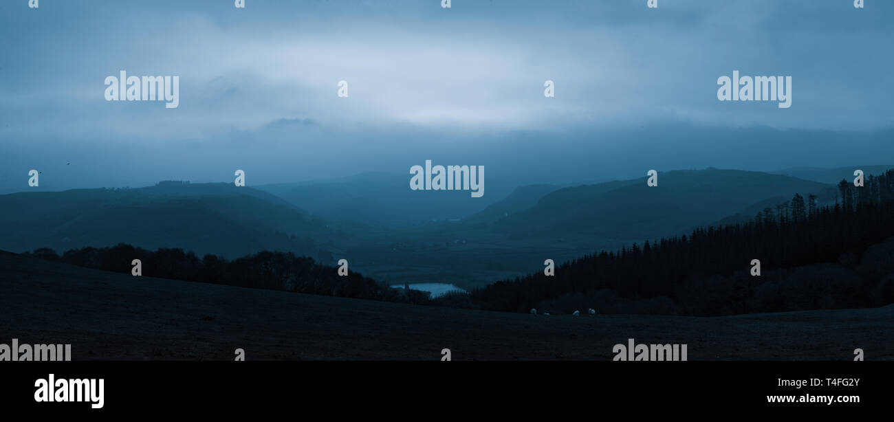 Cyanotype sun hi-res stock photography and images - Alamy