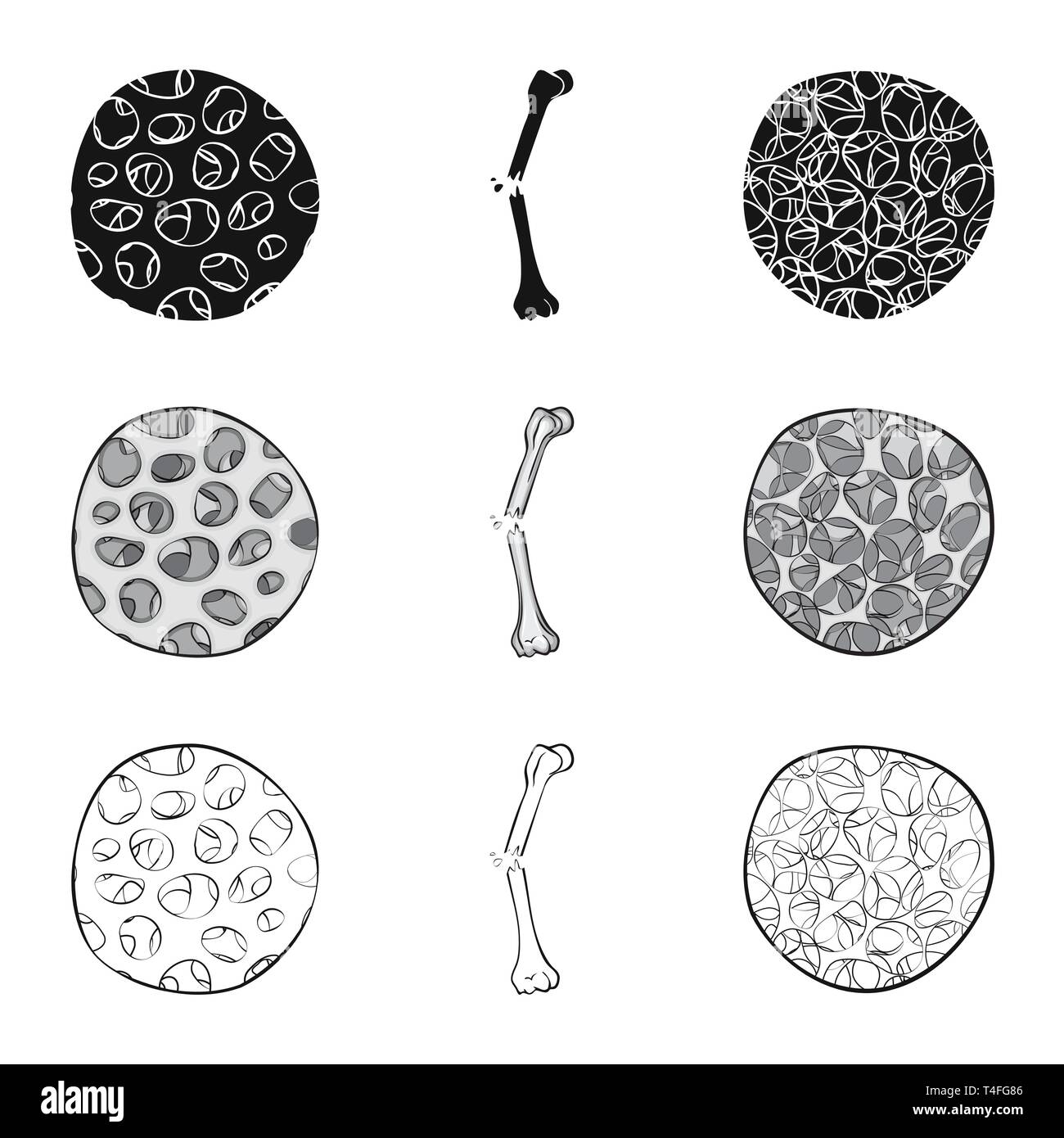 fiber,fracture,osteoporosis,healthy,pain,cell,scientific,bias,tissue ...