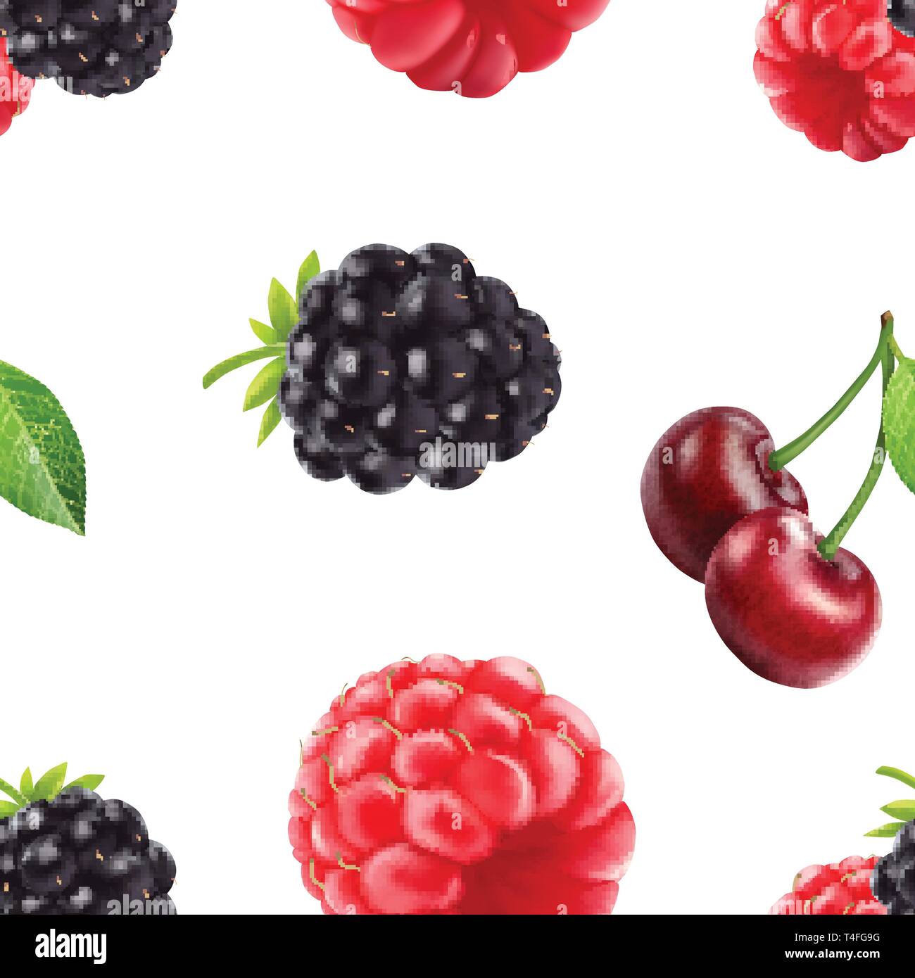 Blackberries plant garden Stock Vector Images - Alamy