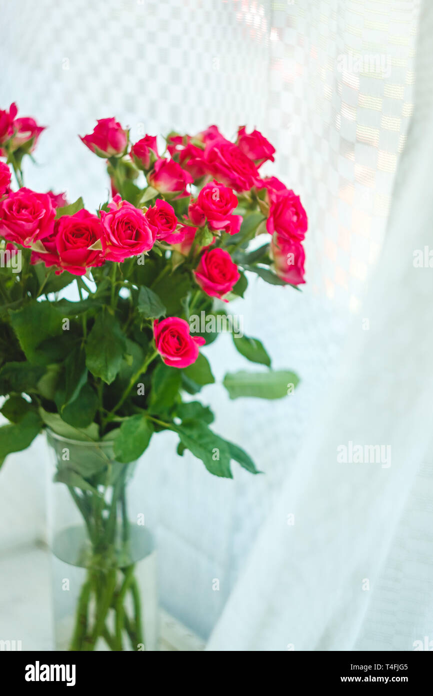 Many little pink roses hi-res stock photography and images - Alamy