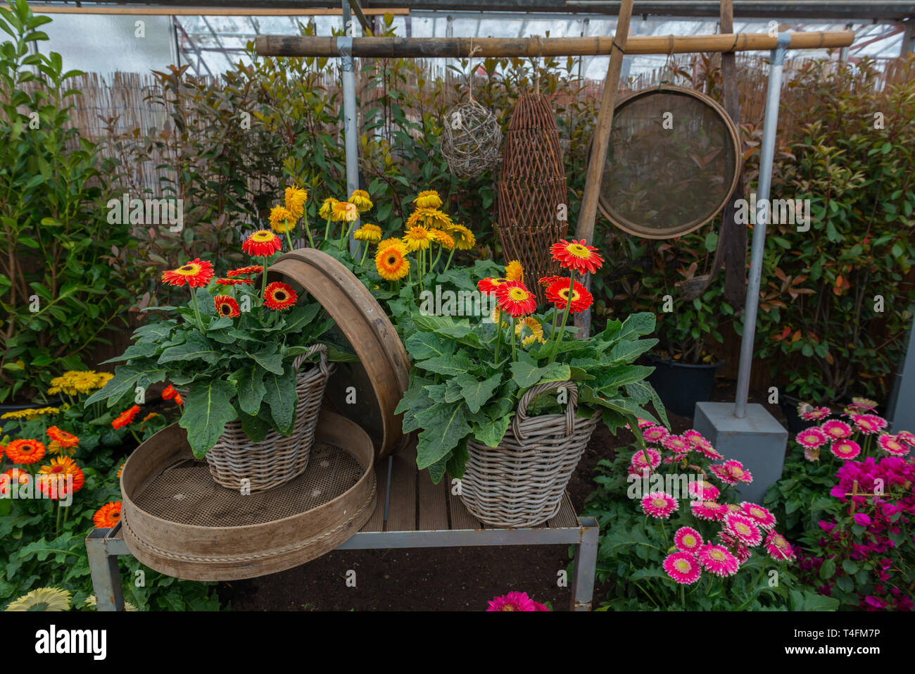 Floralia 2019 event at the castle of Grand Bigard Stock Photo - Alamy