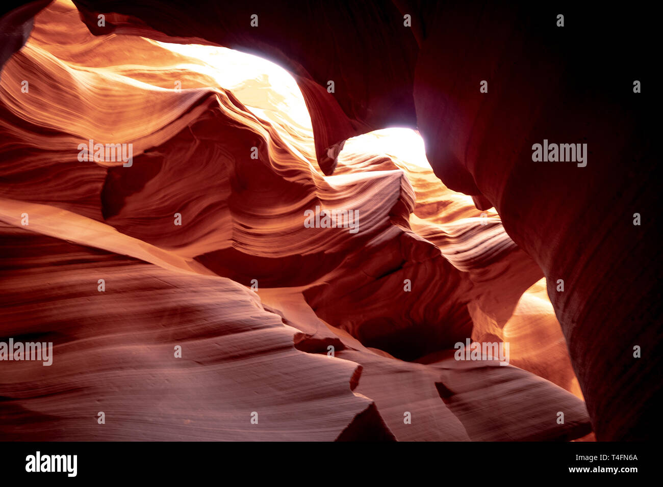 Curved sandstone formations at Antelope Canyon Stock Photo - Alamy