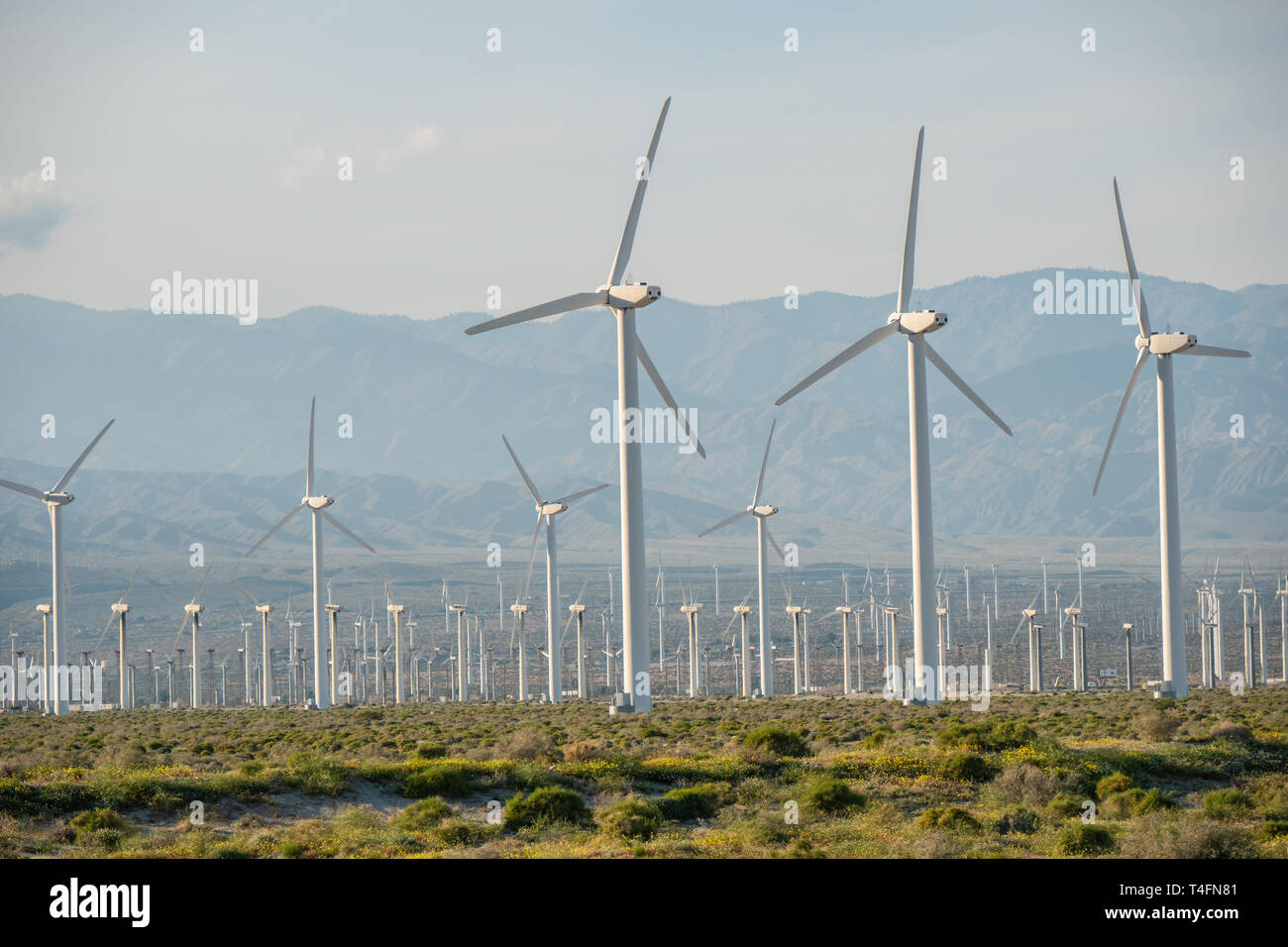 The windmills of Palm Springs in California Stock Photo - Alamy