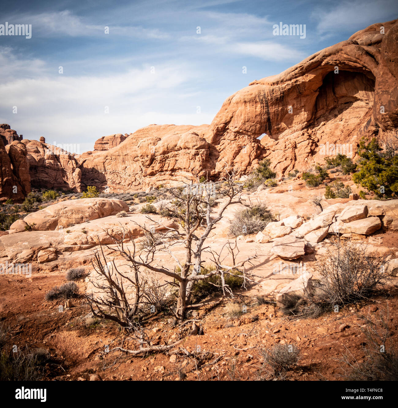 Arches National Park in Utah - famous landmark Stock Photo - Alamy