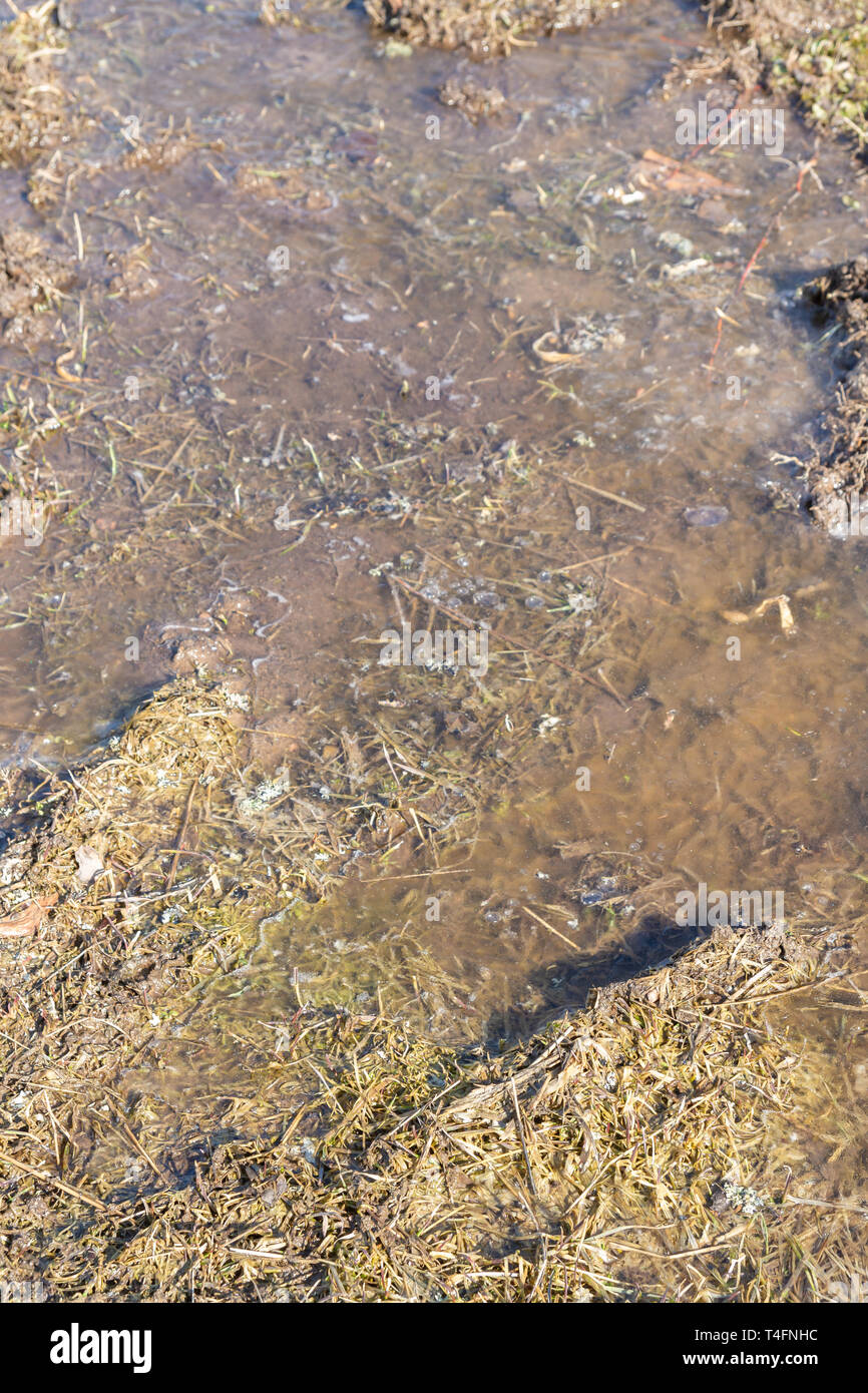 Spring flood carries the snow and turns into a puddle outside the city ...