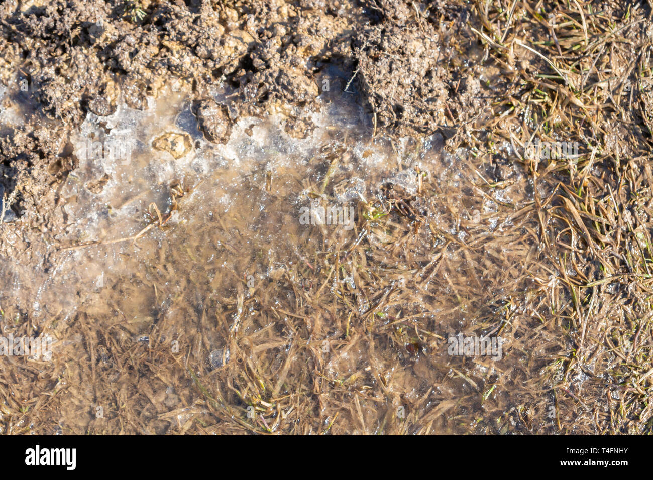 Spring flood carries the snow and turns into a puddle outside the city ...