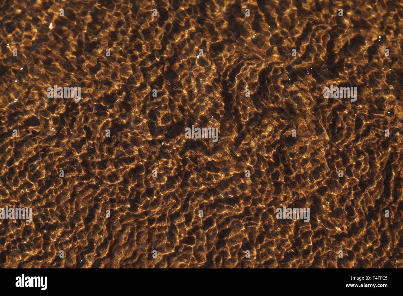 Nature design of reflection on nature pattern sand under sea water ...