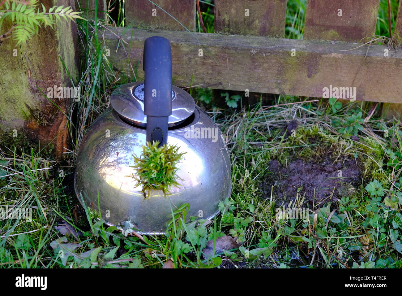 Still life with kettle hi-res stock photography and images - Alamy