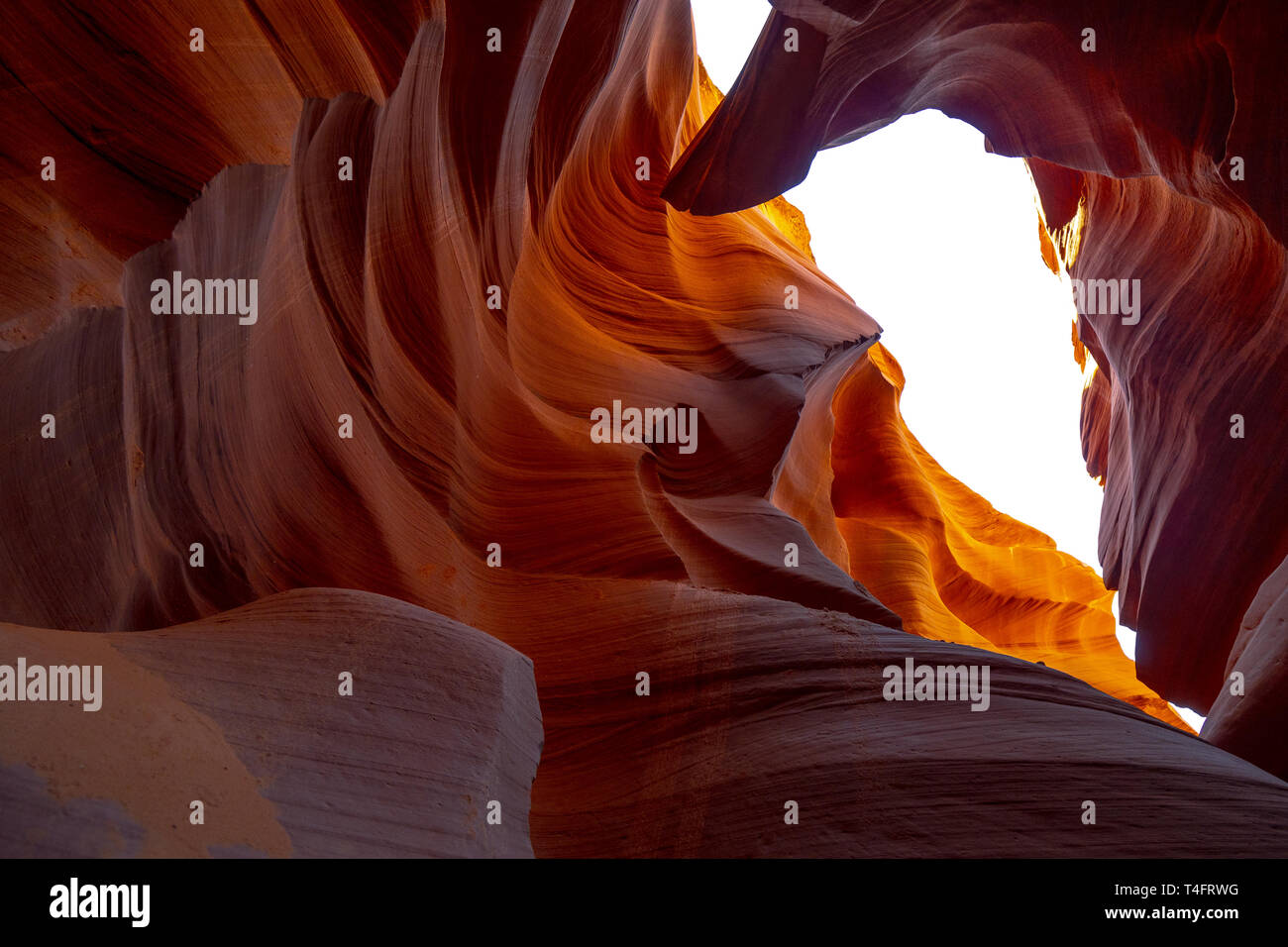 Antelope Canyon - amazing colors of the sandstone rocks Stock Photo - Alamy