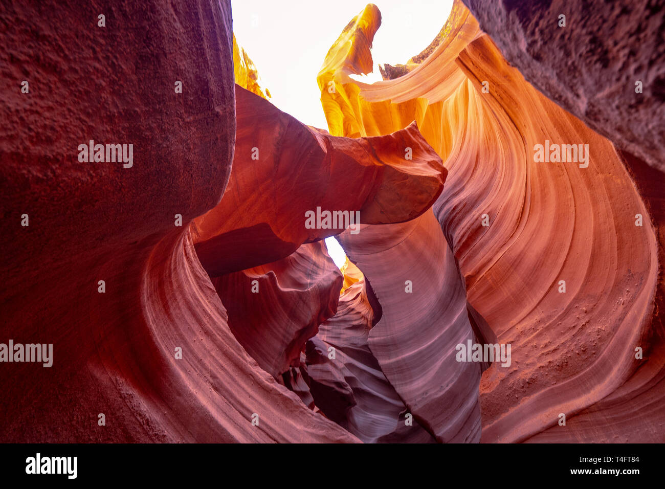 Antelope Canyon - amazing colors of the sandstone rocks Stock Photo - Alamy