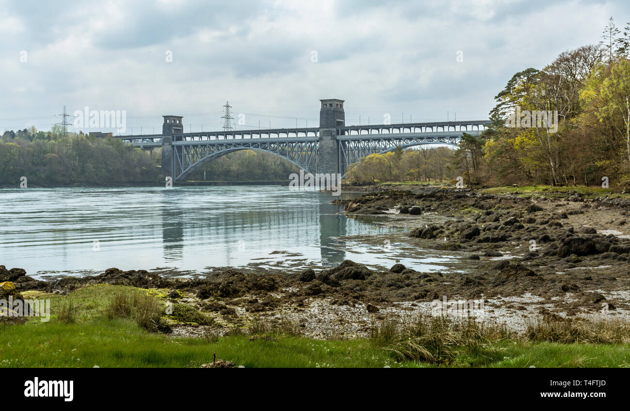 Britannia bridge anglesey spring hi-res stock photography and images ...