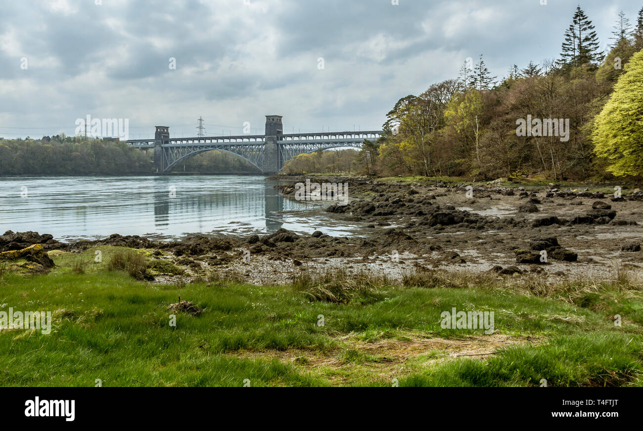 Britannia bridge anglesey spring hi-res stock photography and images ...