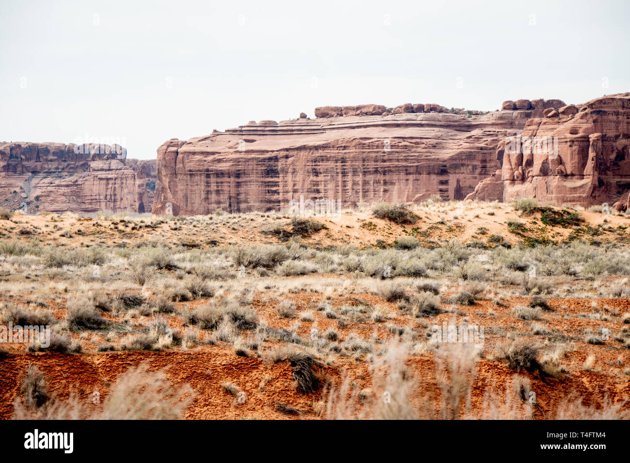 Amazing Scenery at Arches National Park in Utah Stock Photo - Alamy