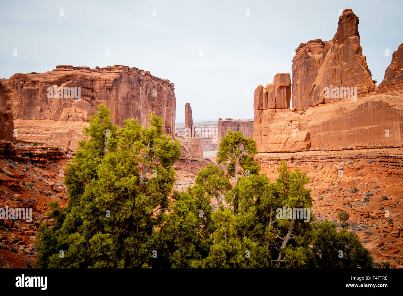 Arches National Park in Utah - famous landmark Stock Photo - Alamy