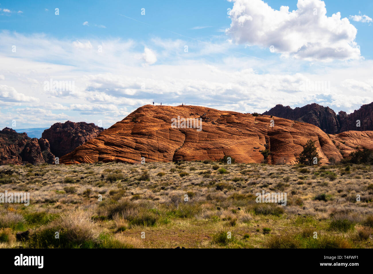 Snow Canyon in Utah - beautiful landscape Stock Photo - Alamy