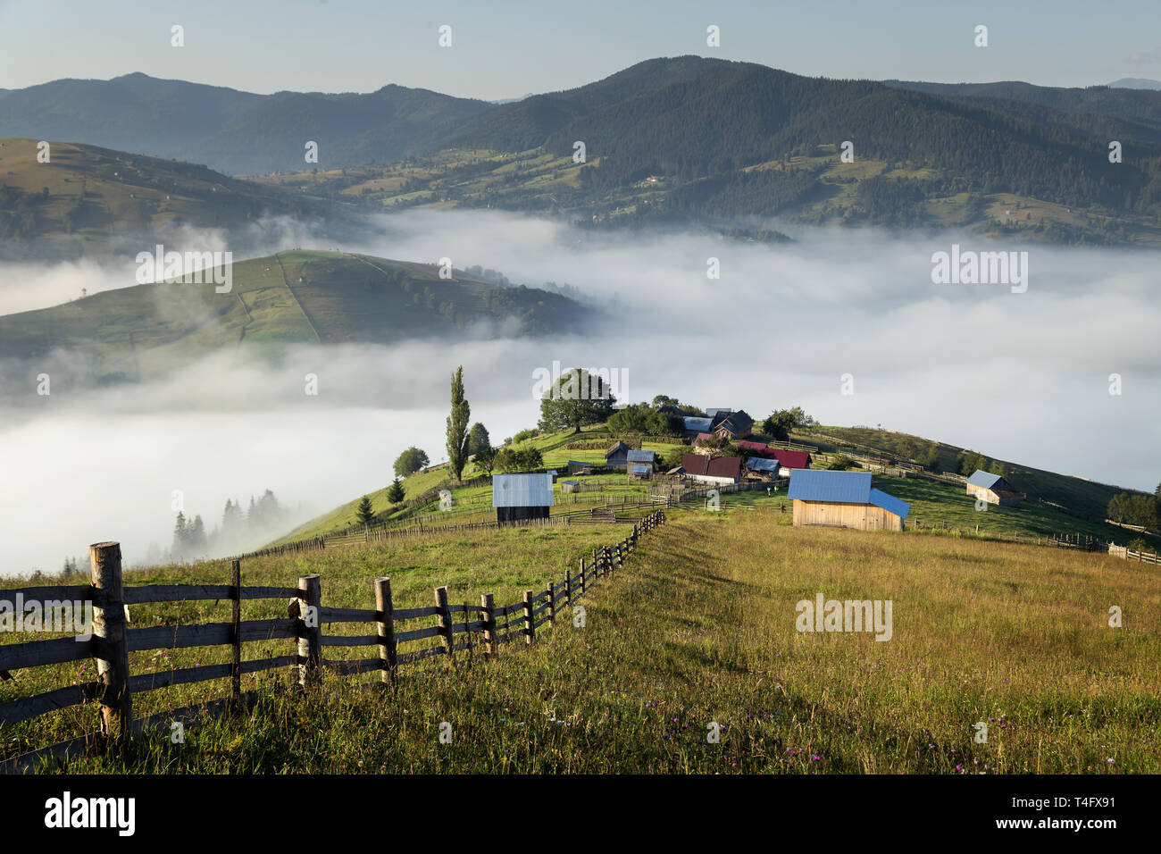 Summer green landscape in Transylvania Stock Photo - Alamy