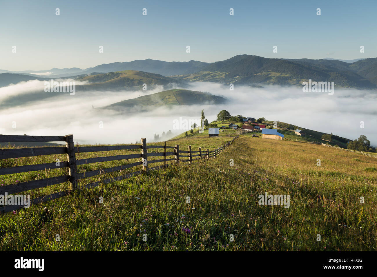 Summer green landscape in Transylvania Stock Photo - Alamy