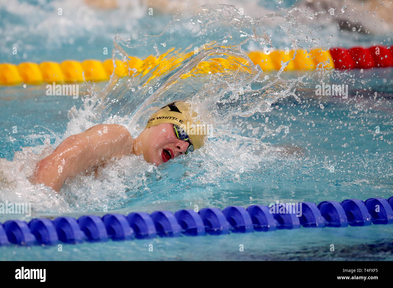 Mens open 400m freestyle hi-res stock photography and images - Alamy