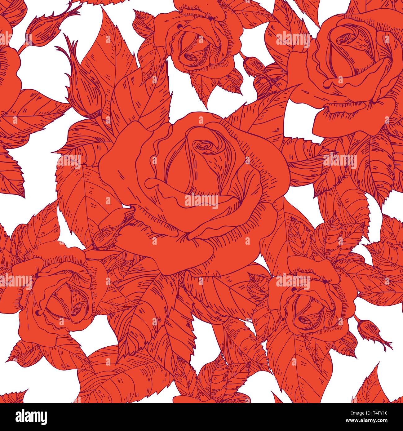 Seamless vector texture with drawing roses Stock Vector Image & Art - Alamy