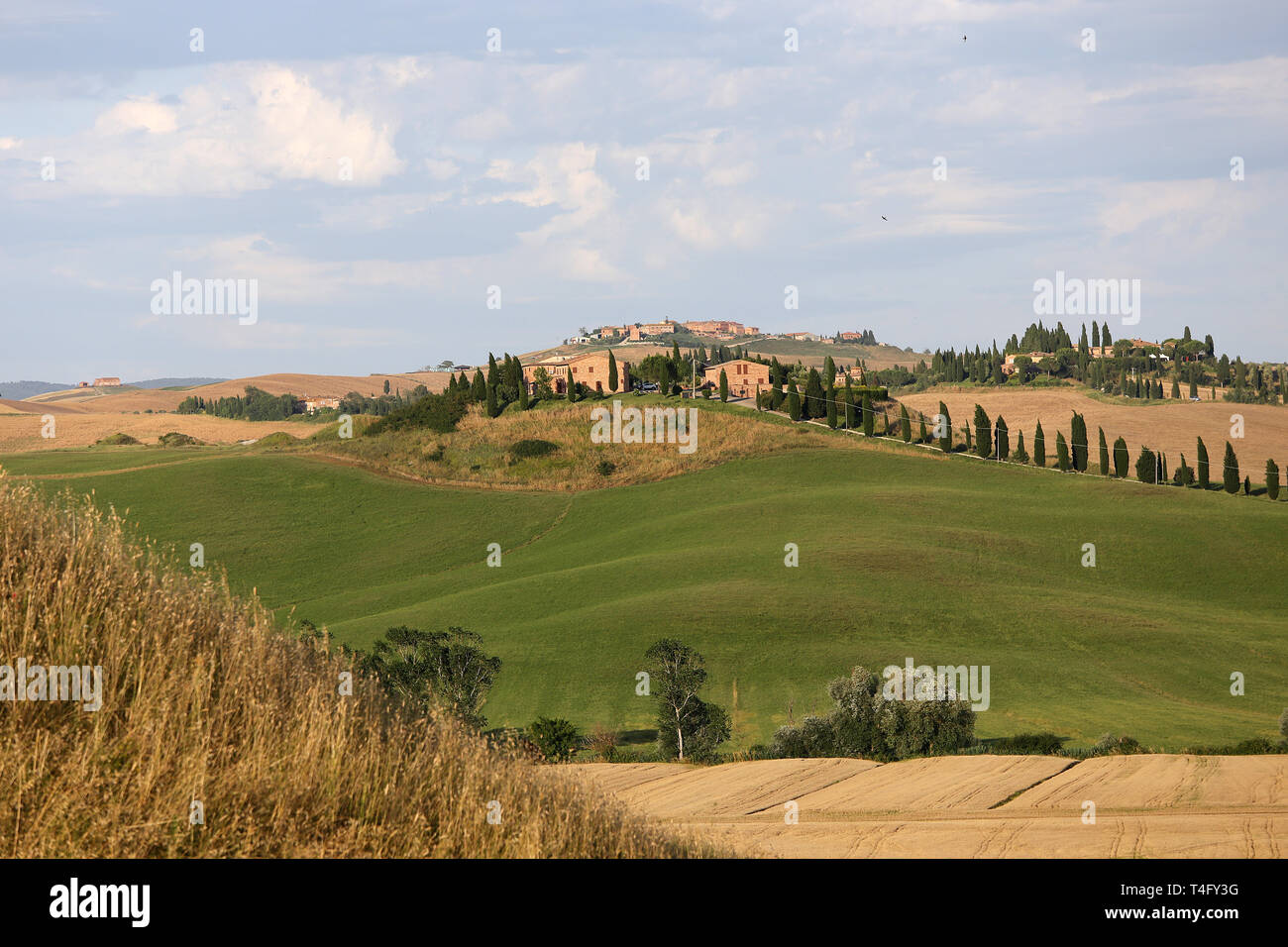 scenic landscapes of Crete Senesi, siena, tuscany, italy Stock Photo ...