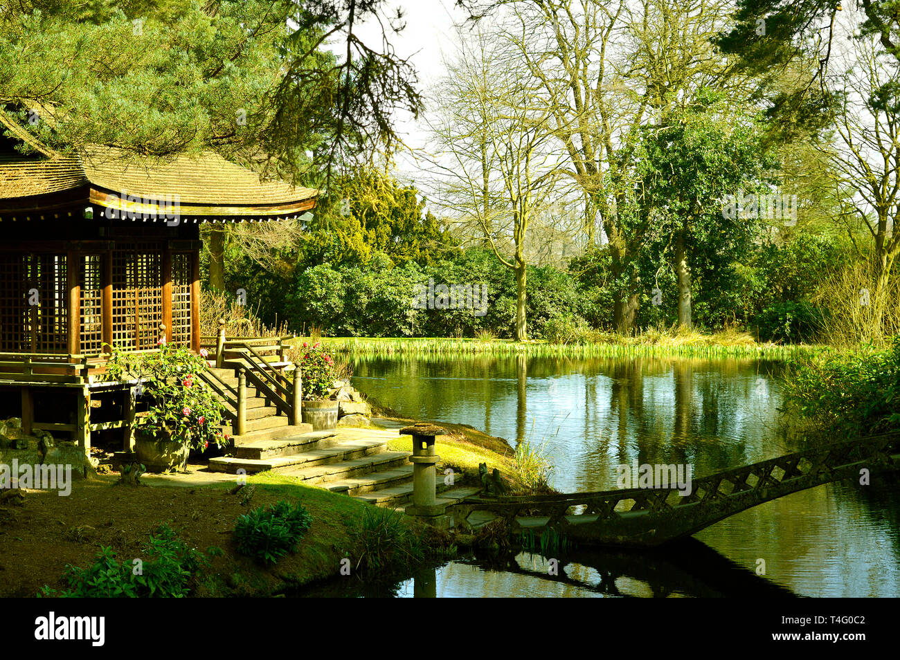 Shinto Shrine in the Japanese tea garden Stock Photo - Alamy