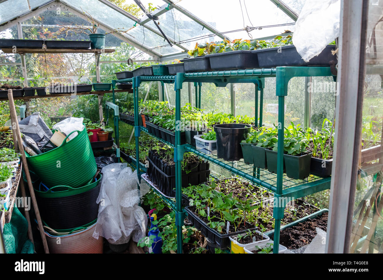Seed trays hi-res stock photography and images - Alamy