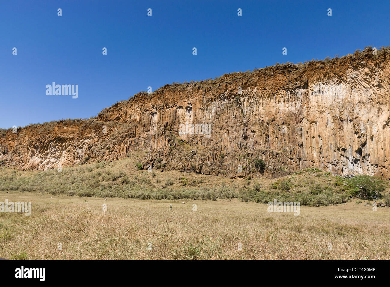 Basalt columns and volcanic geology forming cliffs, Hells Gate National ...